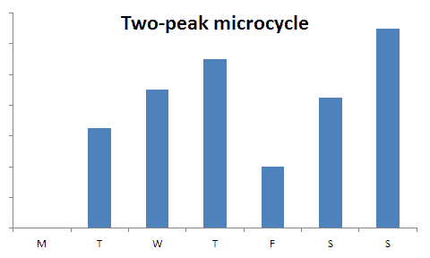 Mikrozyklus - Sportlyzer Academy | Organic Articles