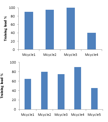 Mesocycle – Sportlyzer Academy